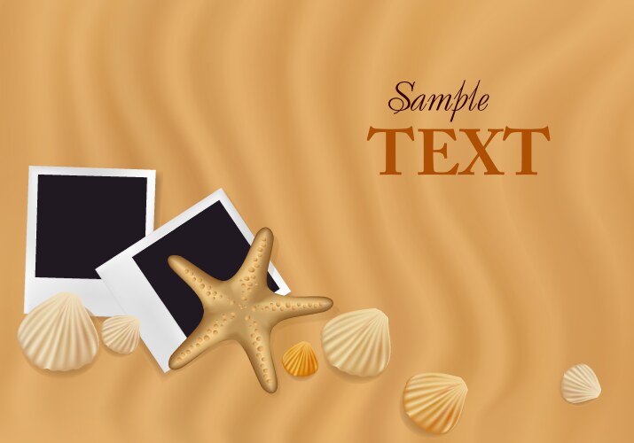 Photo Frame with Shells Vector Images (over 170)