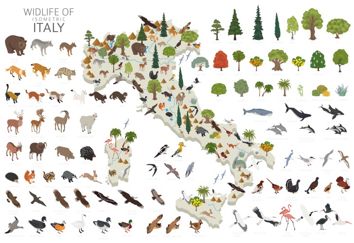 Europe with Wildlife Animals Vector Image Vector Images (over 2,200)