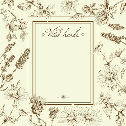 Herbal frame Royalty Free Vector Image - VectorStock