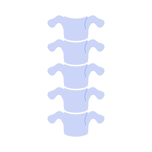 Spine Vector Images (over 29,000)