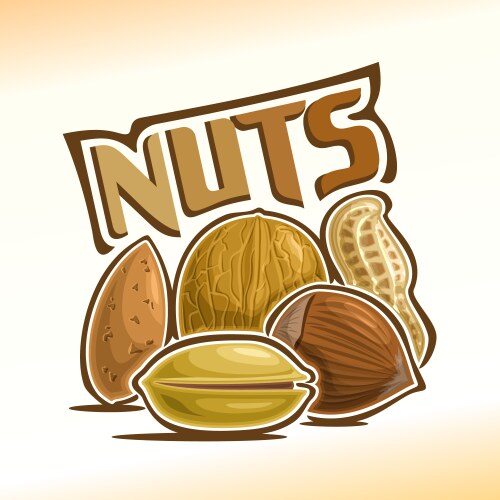 Logo for nuts Royalty Free Vector Image - VectorStock