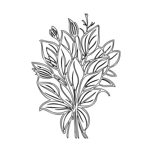 Bouquet flower outline sketch Royalty Free Vector Image