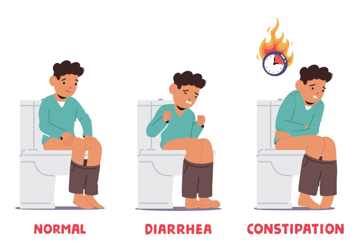 Digestive System for Kids Vector Images (over 560)