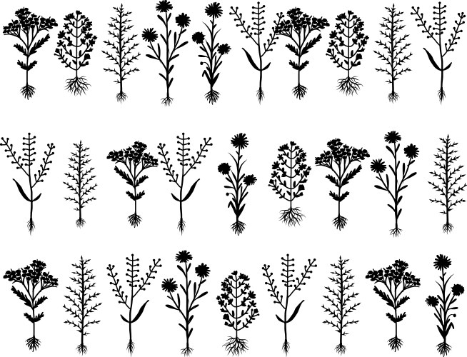 Flowers Roots Vector Images (over 7,800)