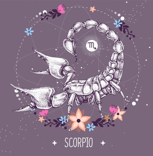 Magic witchcraft card with scorpio zodiac sign Vector Image