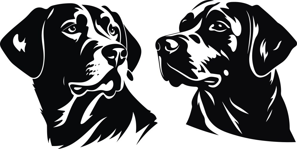 Labrador retriever silhouette line art template Vector Image