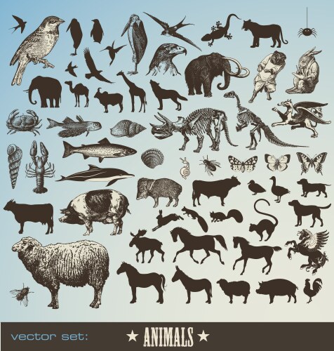 Animals Vector Images (over 2.6 million)