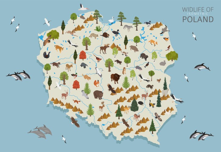 Detailed map of the poland Royalty Free Vector Image