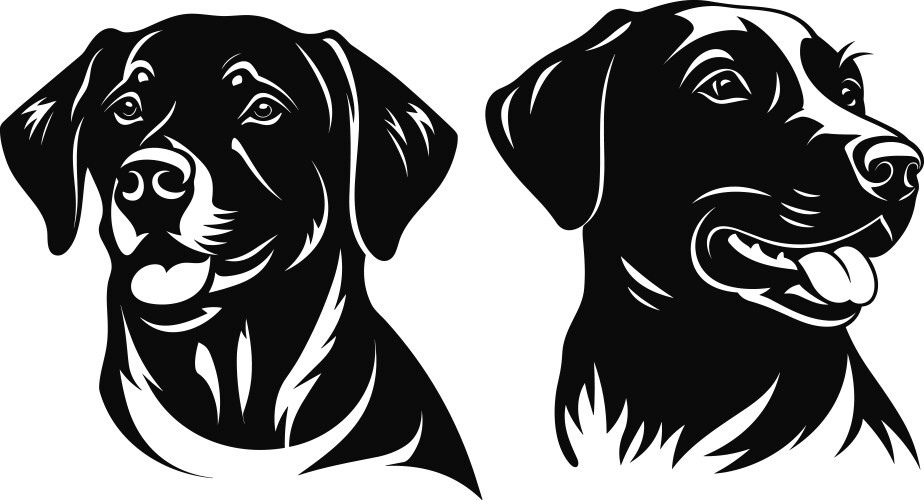 Labrador retriever silhouette line art template Vector Image