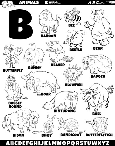 Letter b words educational set with cartoon Vector Image