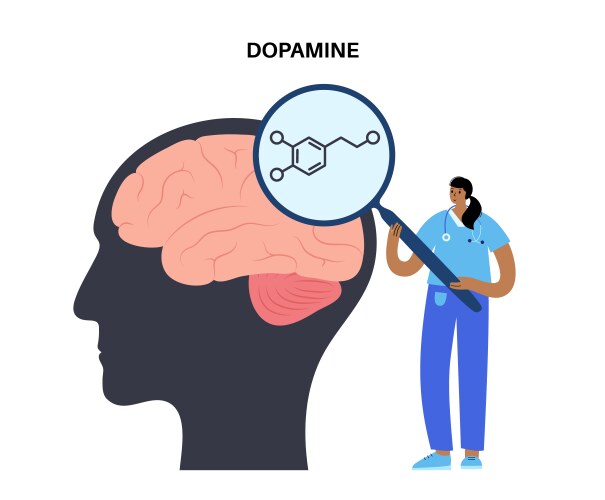 Dopamine Formula Vector Images (over 440)