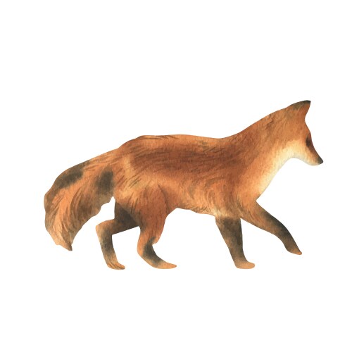 Red Fox Paw Vector Images (over 790)