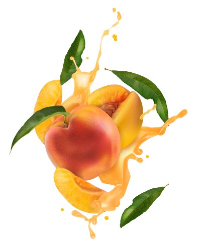 Pomegranate with leaves fresh fruit drawing Vector Image