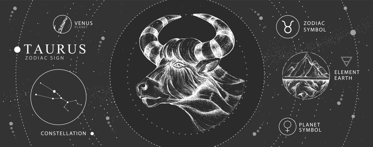 Magic card with astrology taurus zodiac sign Vector Image