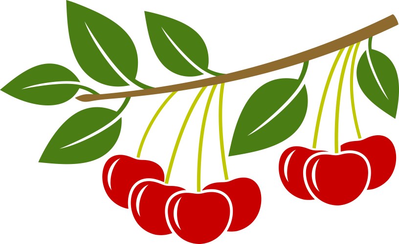 Cherry Royalty Free Vector Image - VectorStock