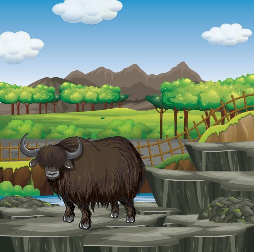 Background scene zoo park with many cages Vector Image