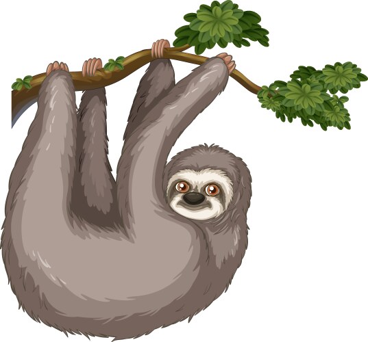Sloth Vector Images (over 10,000)