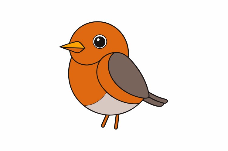 Cute robin bird on white background Royalty Free Vector