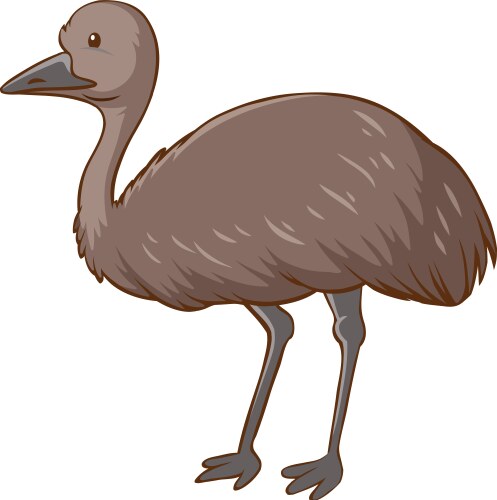 Cartoon Emu Vector Images (over 1,200)
