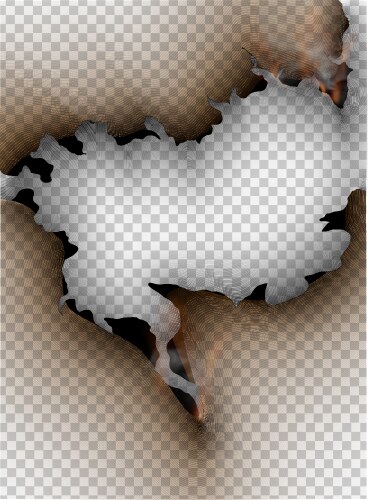 Torn Paper with Fire Royalty Free Vector Image