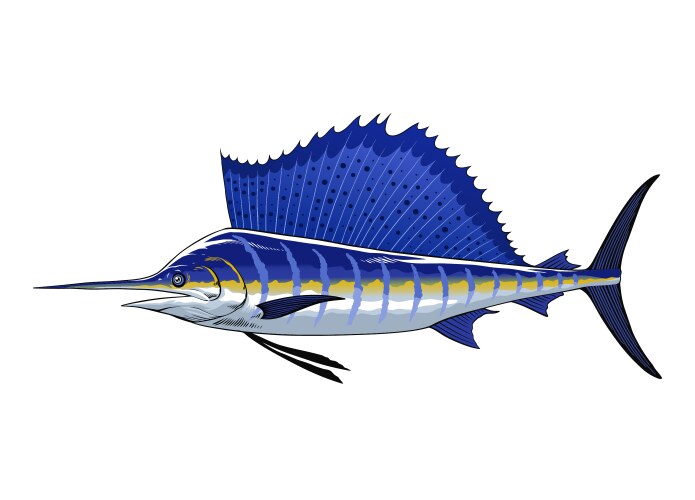Sailfish Vector Images (over 2,200)