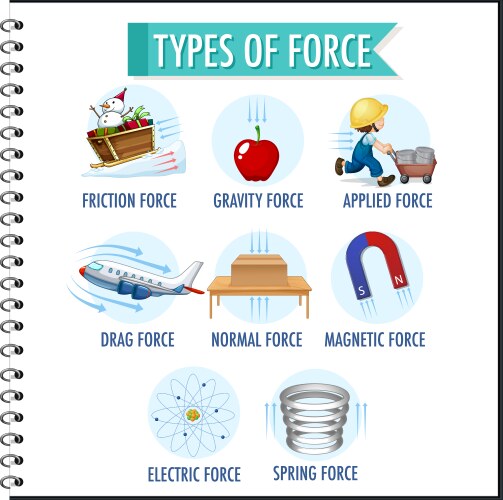 Types force for children physics educational Vector Image