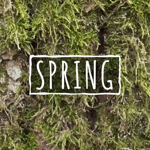 Cartoon jungle moss shape green swamp Royalty Free Vector