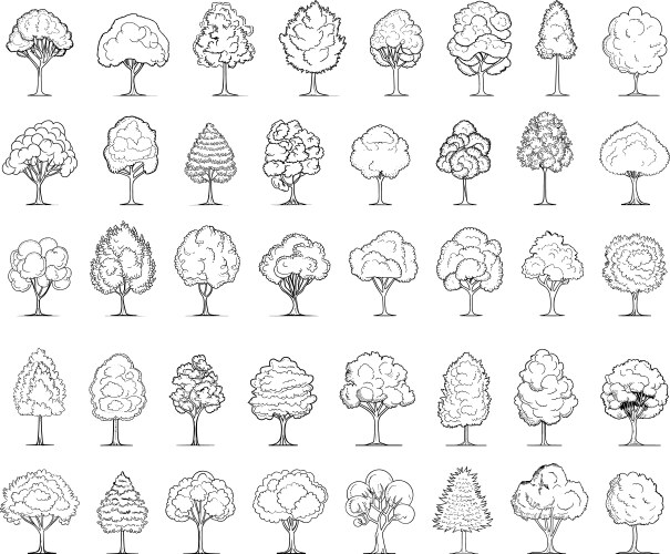 Ash Tree Vector Images (over 5,200)