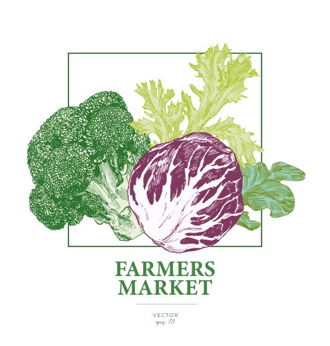 Cabbage engraved emblem Royalty Free Vector Image