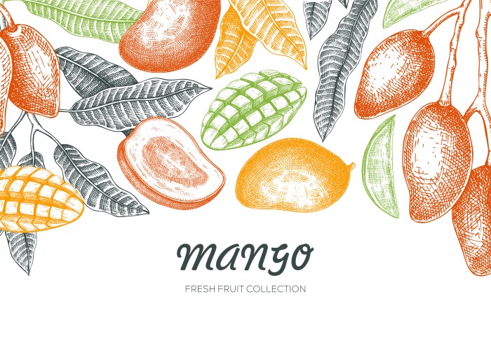 Mango Vector Images (over 20,000)