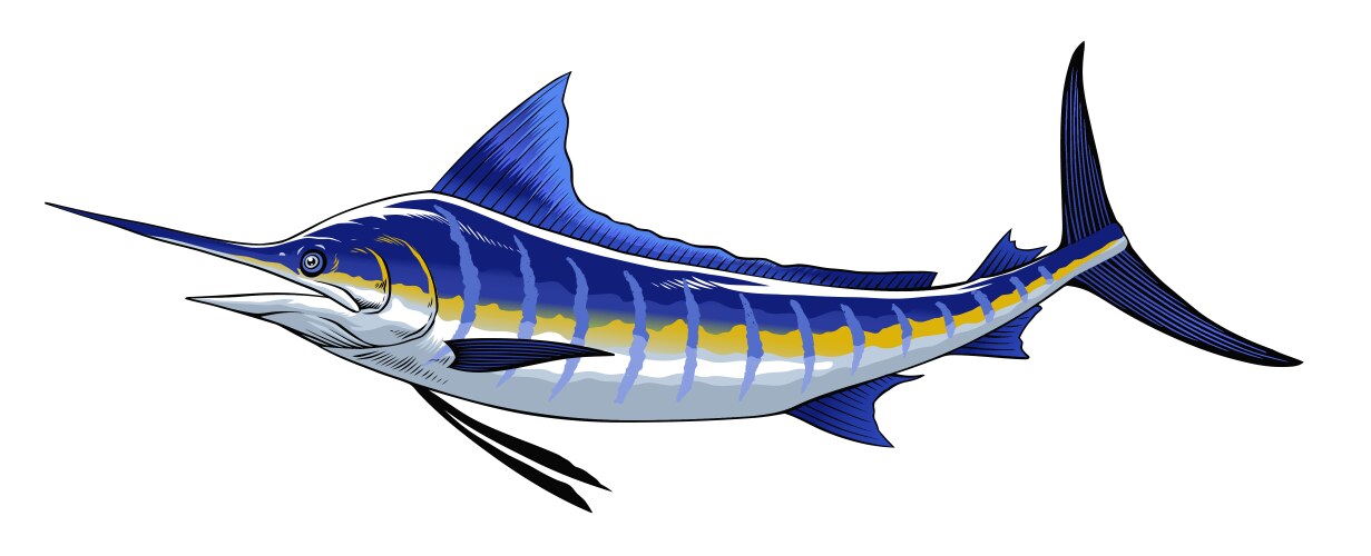 Blue Marlin Vector Images (over 1,600)
