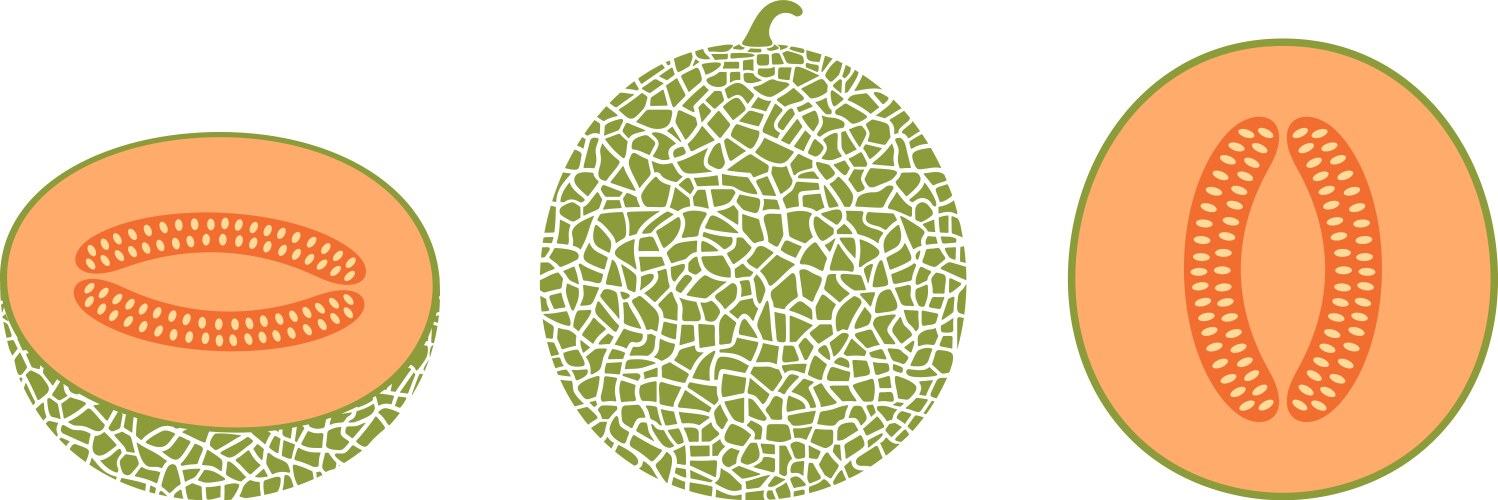 Melon Vector Images (over 27,000)