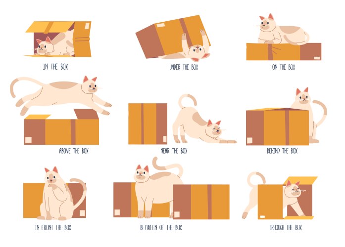 Learning positions in space educational visual Vector Image