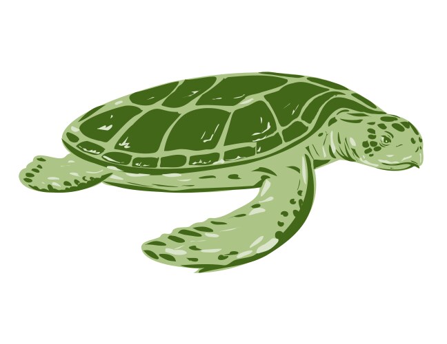 Cartoon sea turtle isolated on white background Vector Image
