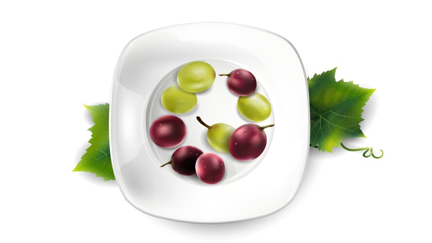 Salad plate cartoon organic vegetarian food Vector Image
