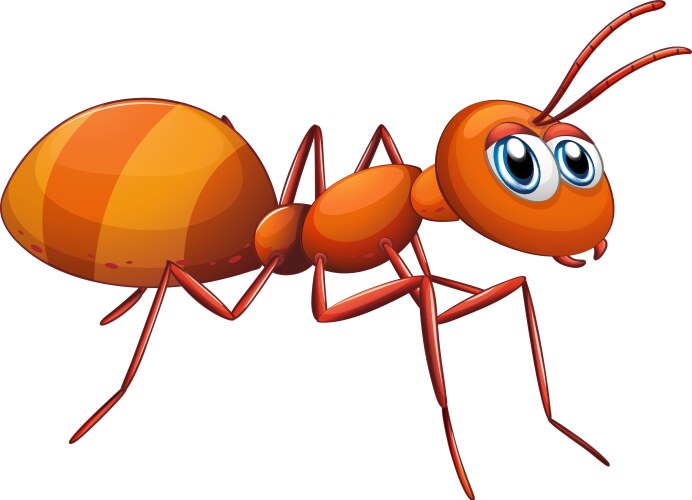 Ant Vector Images (over 18,000)