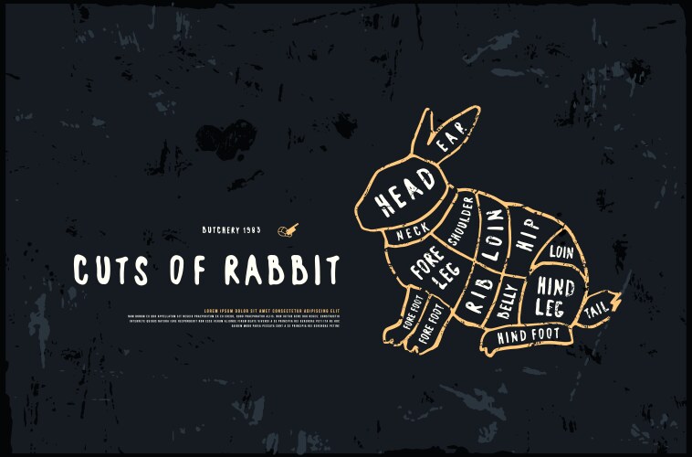 Rabbit cuts diagram Royalty Free Vector Image - VectorStock