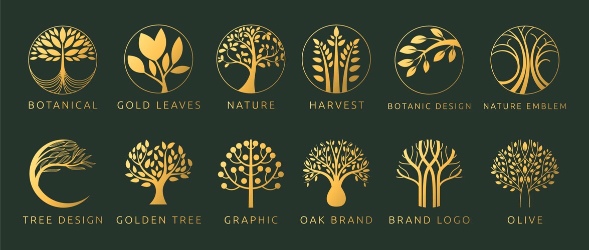 Olive Tree Logo Olive Tree Abstract Logo Vector Symbol Illustration