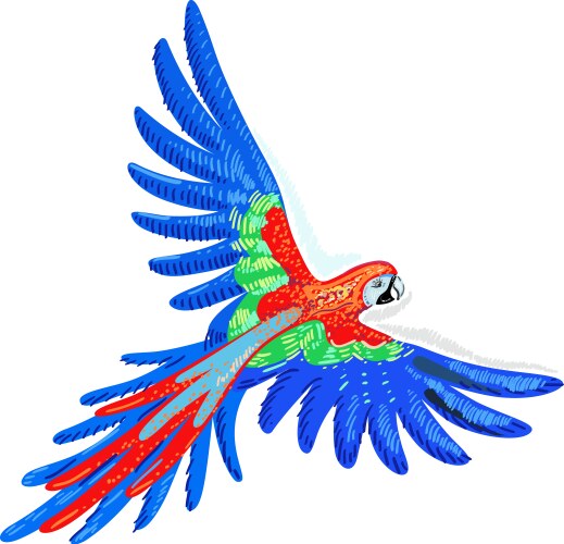 Macaw bird design Royalty Free Vector Image - VectorStock