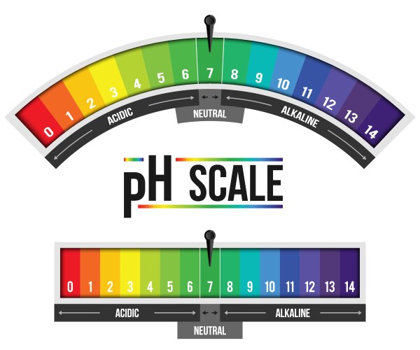 Ph value scale meter for acid and alkaline Vector Image