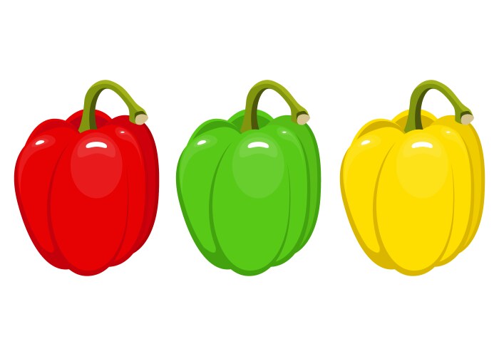 Pepper design Royalty Free Vector Image - VectorStock