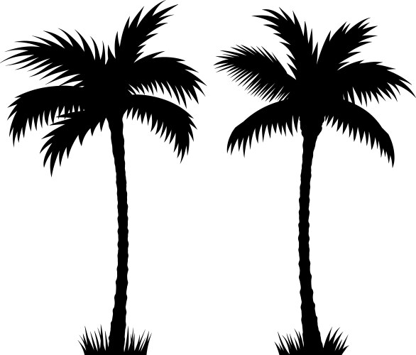 Palm tree on transparent background Royalty Free Vector