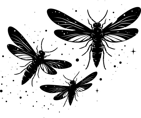 Beautiful firefly insect silhouette isolated Vector Image