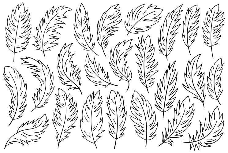 Feather Outline Vector Images (over 50,000)