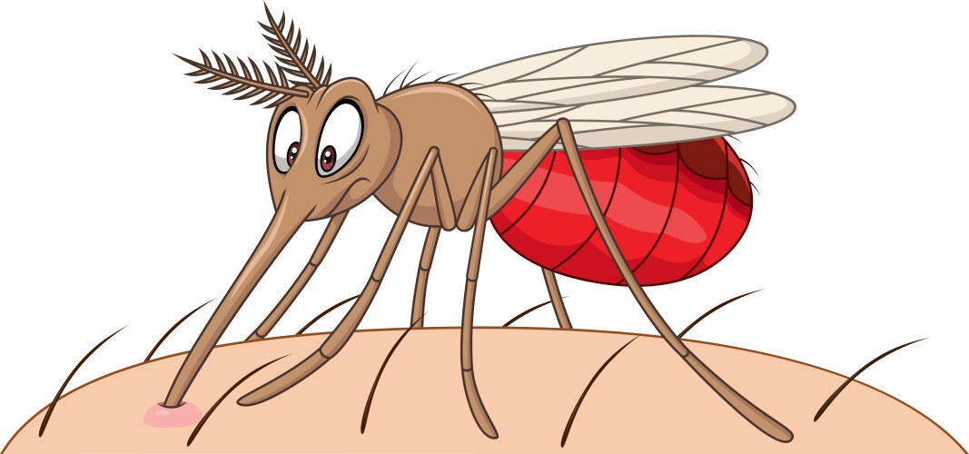 Dengue Fever Cartoon Vector Images (over 450)