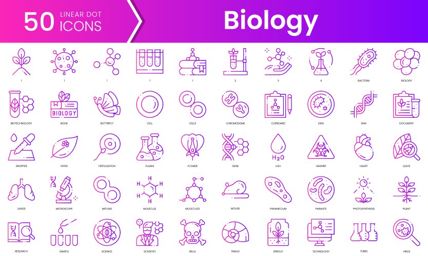 Set of chemistry icons gradient style icon bundle Vector Image