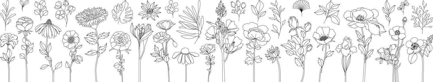 Line art floral elements Royalty Free Vector Image