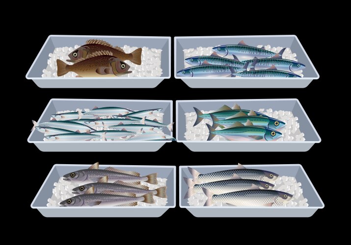 Fish Box Vector Images (over 15,000)