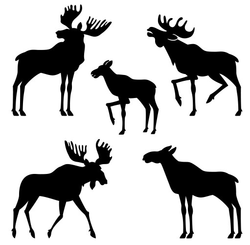 Moose Black and White Vector Images (over 6,500)
