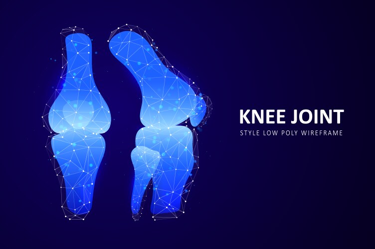 Bone Joint Vector Images (over 16,000)